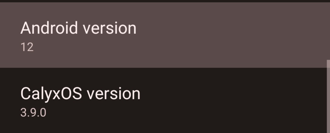 Cake fails to run on calyxOS · Issue #527 · cake-tech/cake_wallet · GitHub