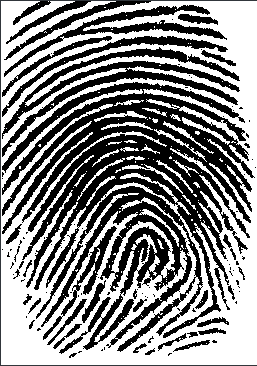 GitHub - sankethire/Fingerprint-Verification-System