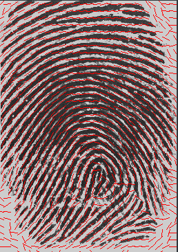 GitHub - sankethire/Fingerprint-Verification-System