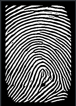 GitHub - sankethire/Fingerprint-Verification-System