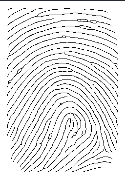 GitHub - sankethire/Fingerprint-Verification-System