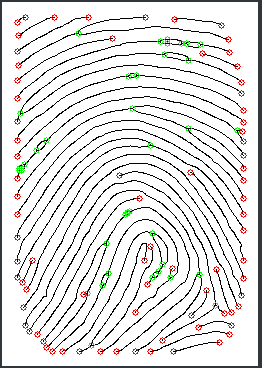 GitHub - sankethire/Fingerprint-Verification-System