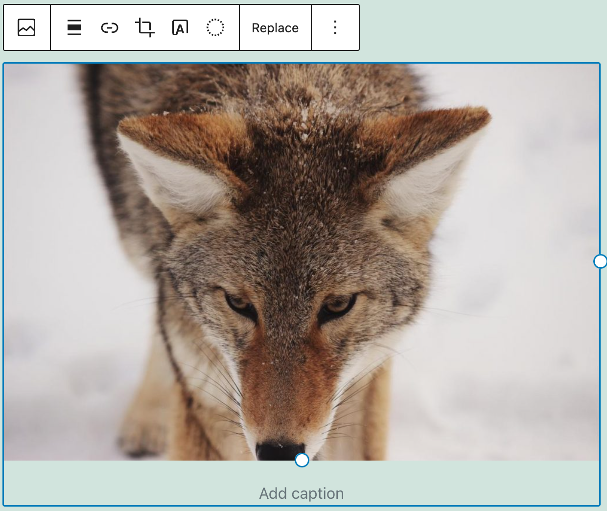 [HelpHub] Update block styles for Tag Cloud block · Issue #335 · WordPress/Documentation-Issue ...