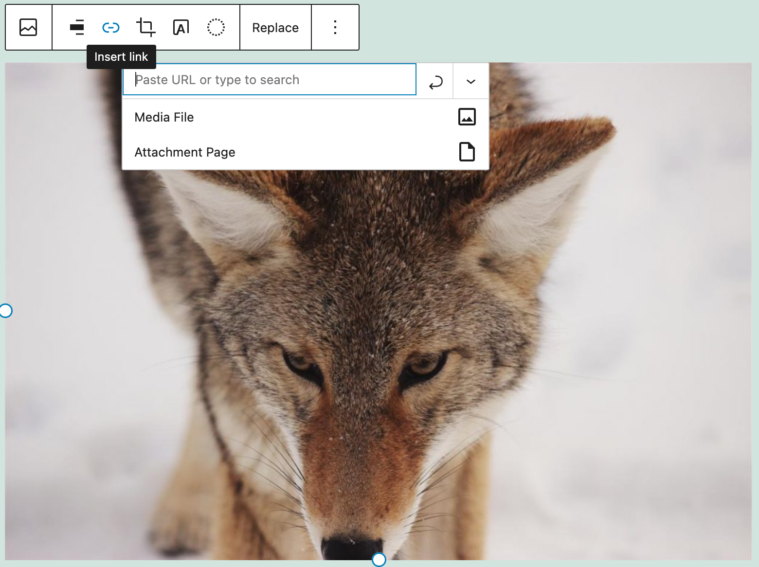 [HelpHub] Update block styles for Tag Cloud block · Issue #335 · WordPress/Documentation-Issue ...