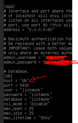 Problems running on Docker · Issue #390 · knadh/listmonk · GitHub