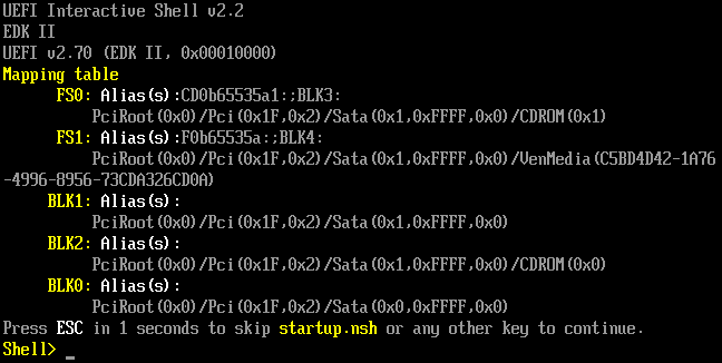 None of the UEFI modes are supported by Windows 10 as VM during the installation operation ...
