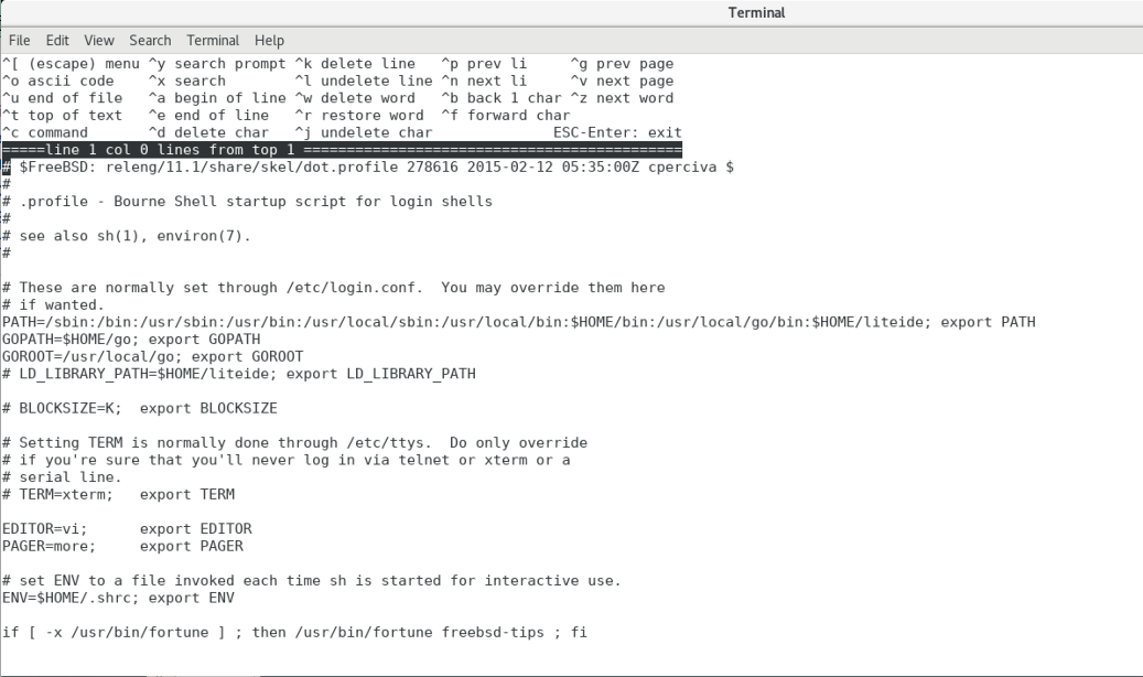 FreeBSD: use clang instead of g++ and other issues · Issue #523 ...