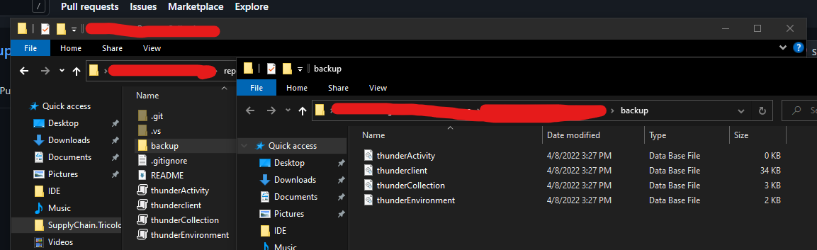 Thunder Client Is Creating Backup Folder With Db File And Creating Json File In Root Folder