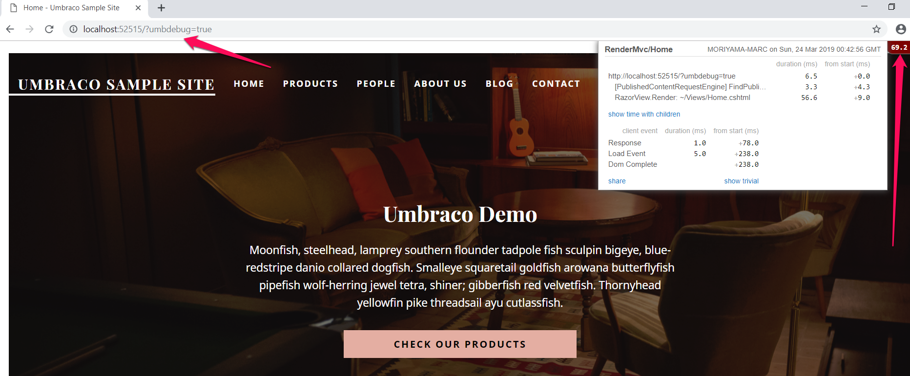 Add how to render the MiniProfiler to the Debugging page · Issue #1596 · umbraco/UmbracoDocs ...