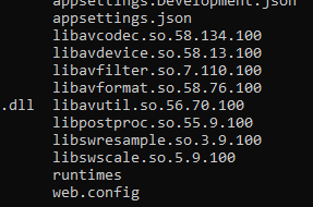 Cannot load FFmpeg dlls under Docker Linux environment · Issue #169 · Ruslan-B/FFmpeg.AutoGen ...