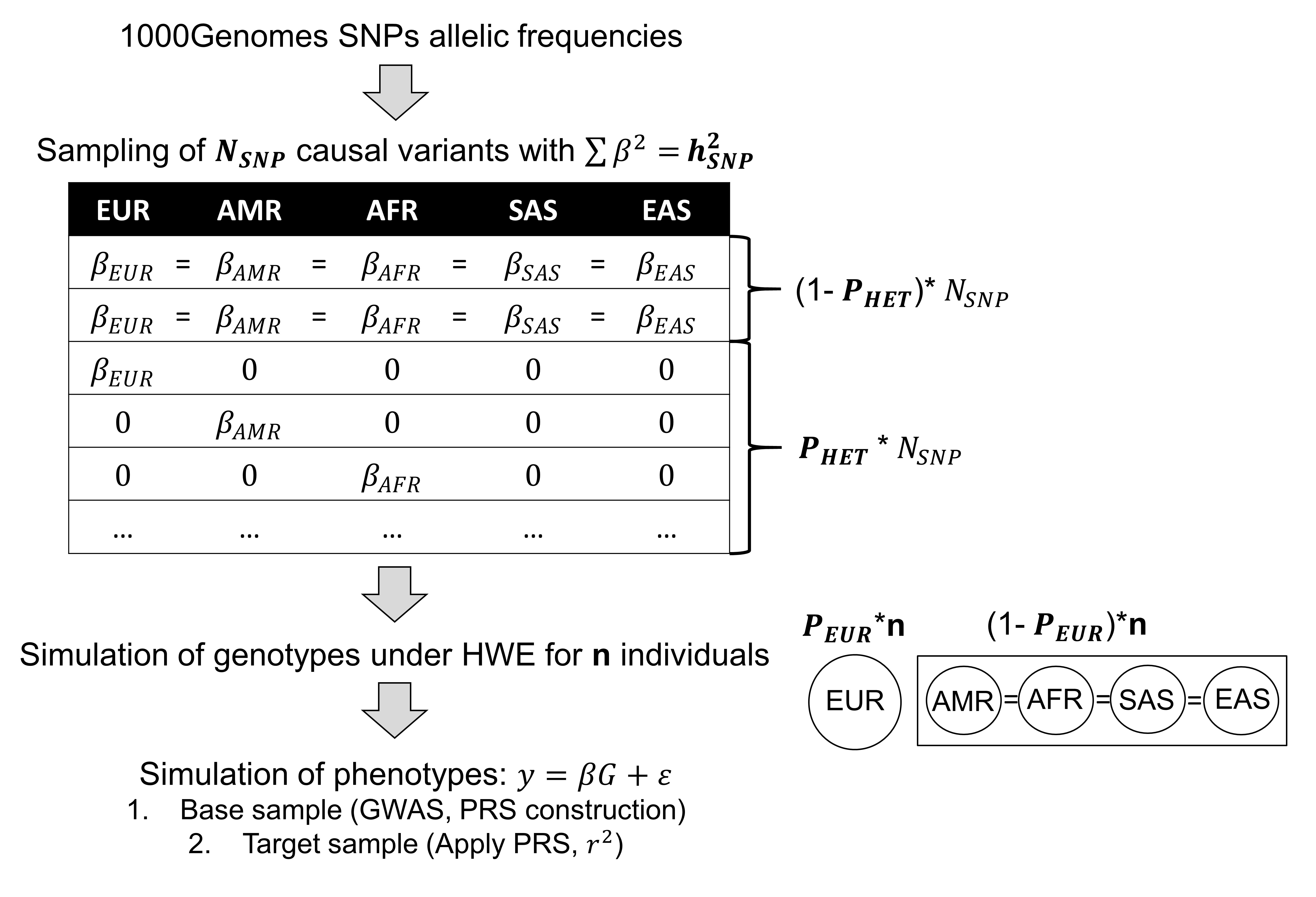 GitHub - hmgu-itg/traps: TRans-Ancestry PRS Simulator