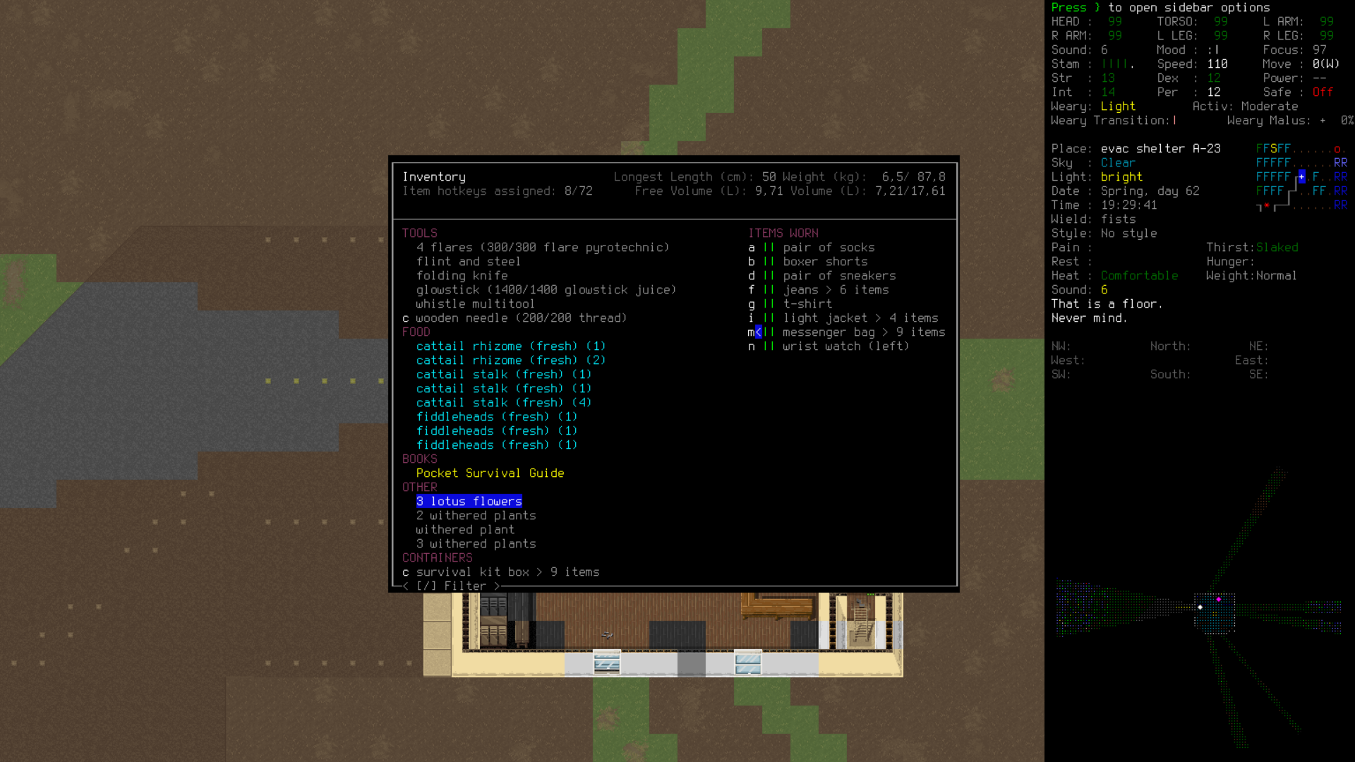 Auto Inventory Letters Feature Does Not Working · Issue 45625 · Cleverravencataclysm Dda 