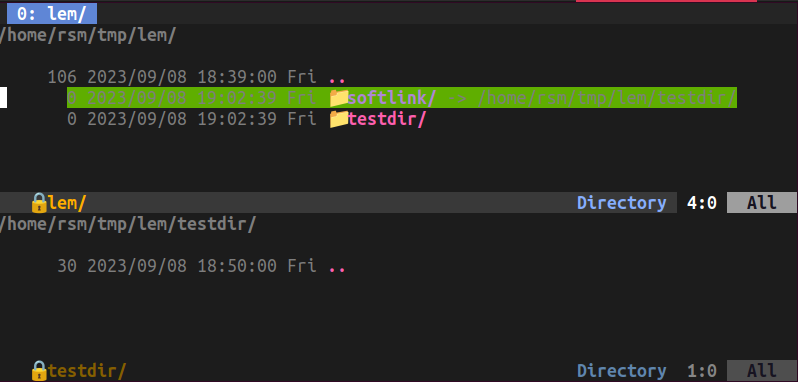 Directory mode bug: deleting soft link is dangerous! · Issue #1072 · lem-project/lem · GitHub