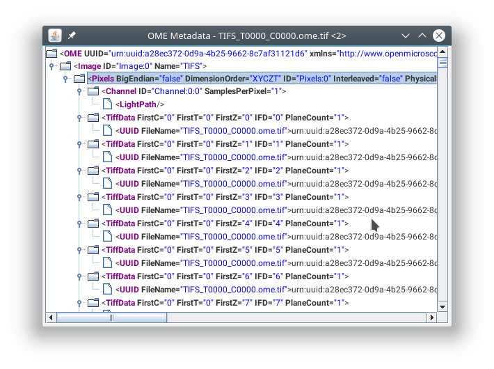 Dimension order issues when writing ome-tiff files... · Issue #3199 ...