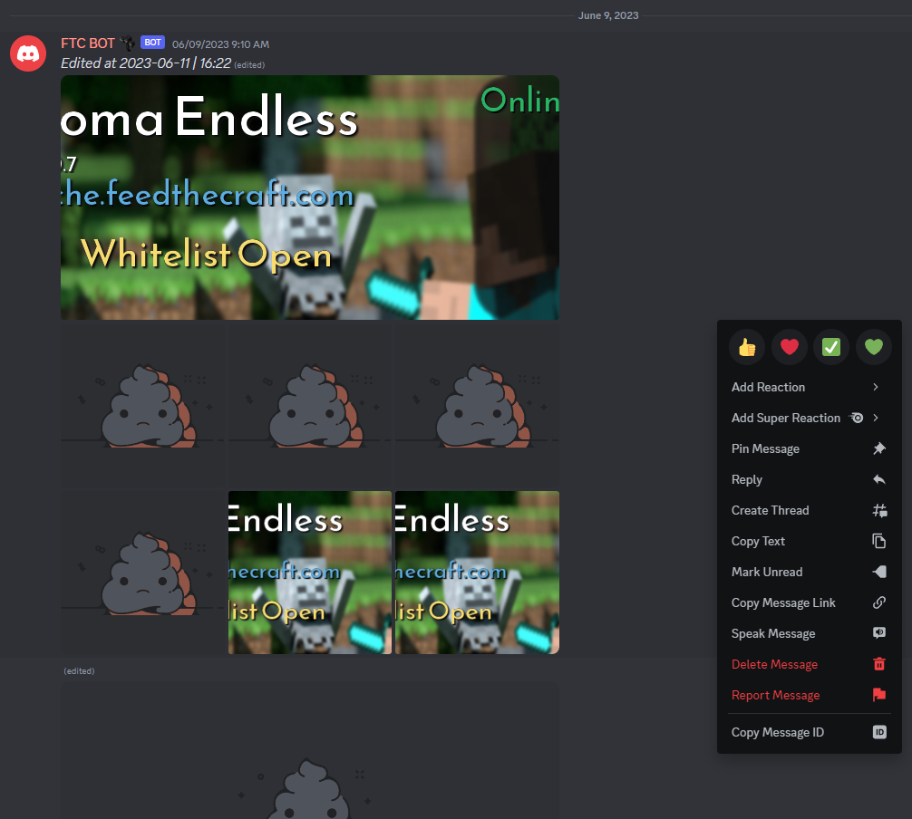 Bug Message Logger Not Ignoring Bot Edited Image Posts Not Letting You Discard History From