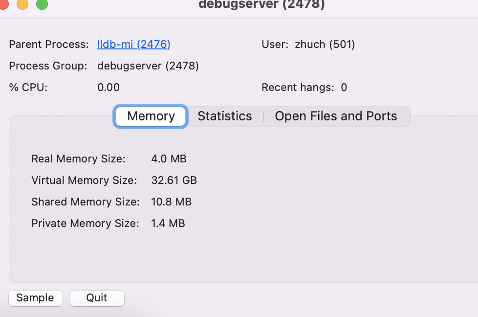 The process of debugger locked in the line of vector or map where define when debug code of C ...