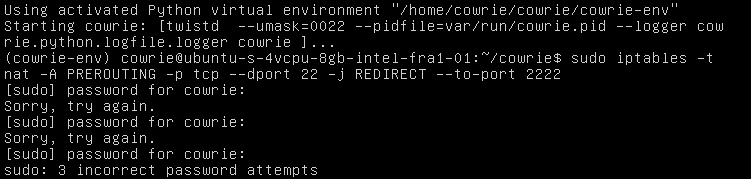 Password to cowrie · Issue #1677 · cowrie/cowrie · GitHub