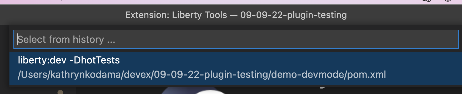 Liberty: History action to save previous Start... choices · Issue #129 · OpenLiberty/liberty ...
