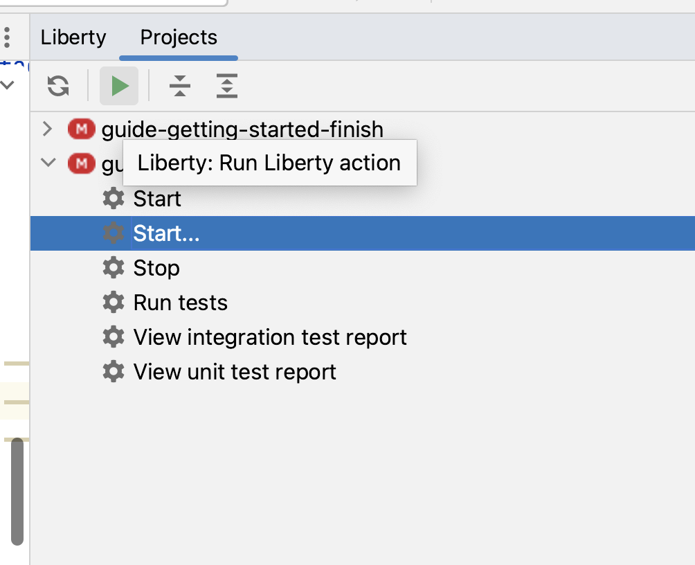 "Run Liberty action" action is broken · Issue #190 · OpenLiberty/liberty-tools-intellij · GitHub