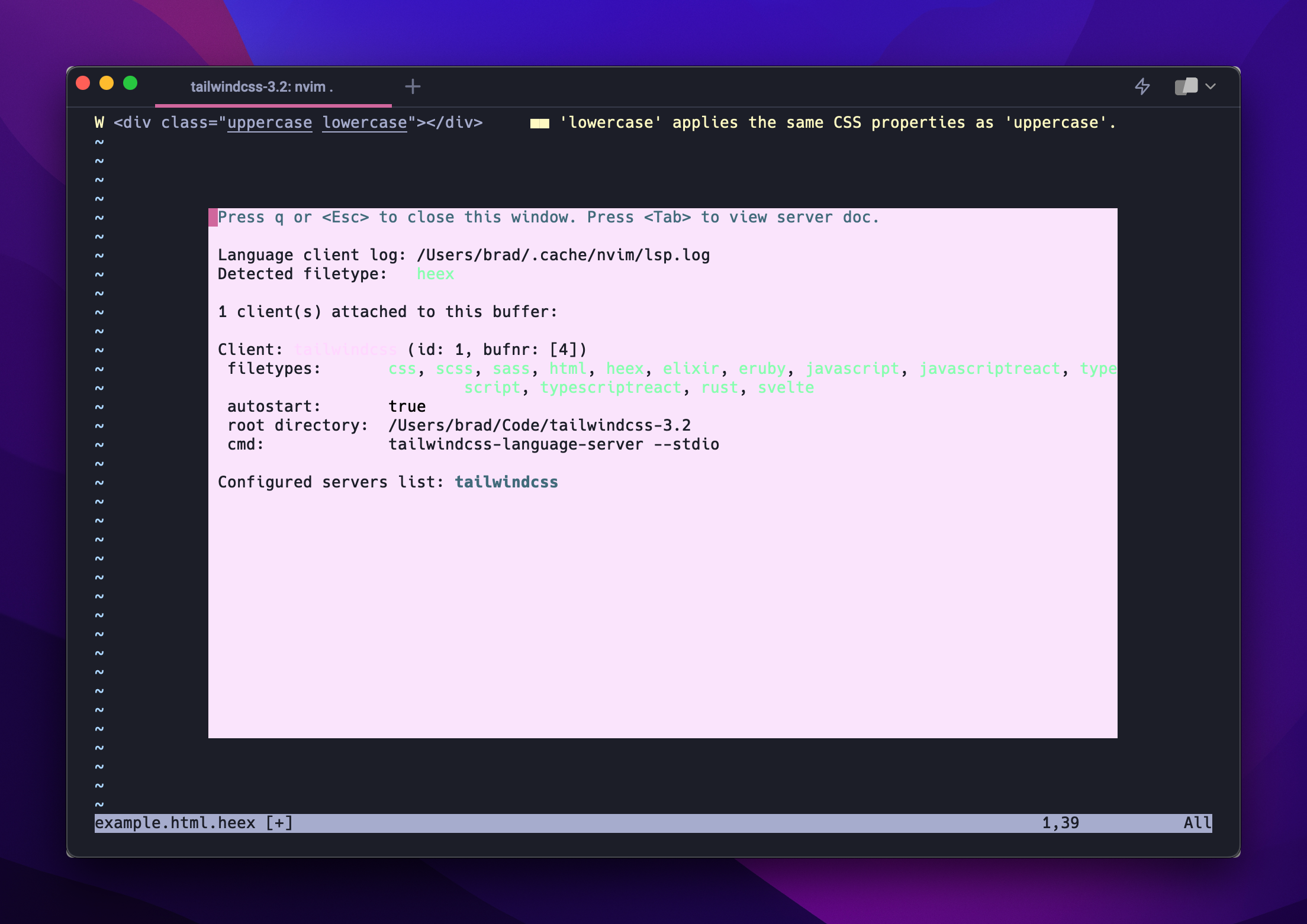 [IntelliSense] Custom language config not working in Neovim · tailwindlabs tailwindcss ...