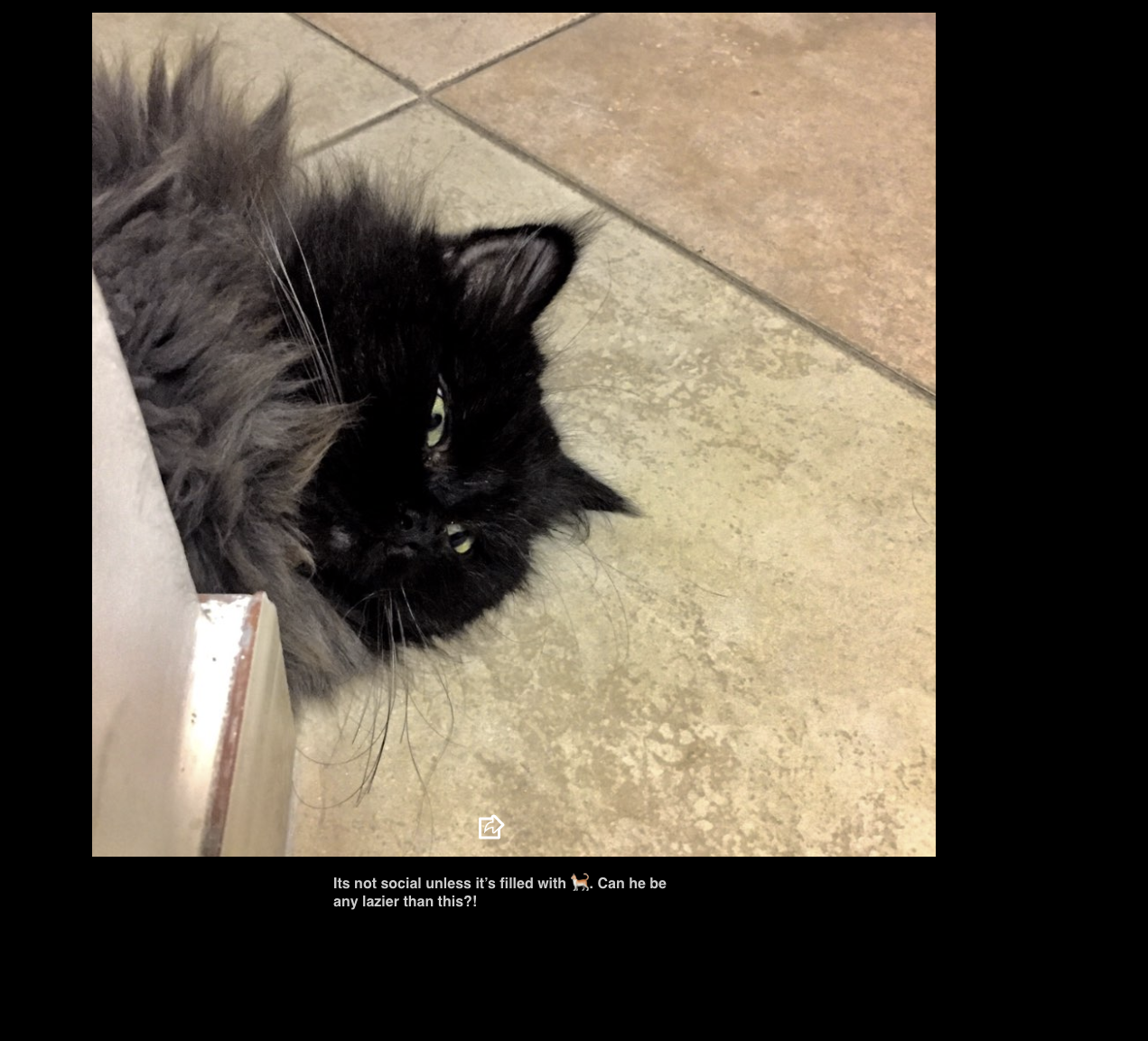 Make transform: translateZ(0px) optional · Issue #41 · gm0t/react-sticky-el · GitHub