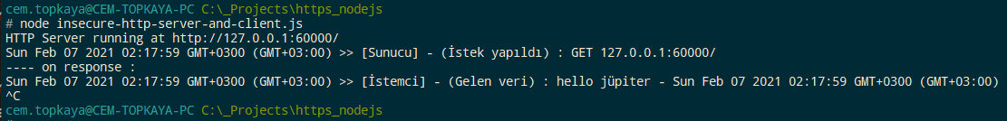 GitHub - cemtopkaya/http_https_web_server_in_nodejs