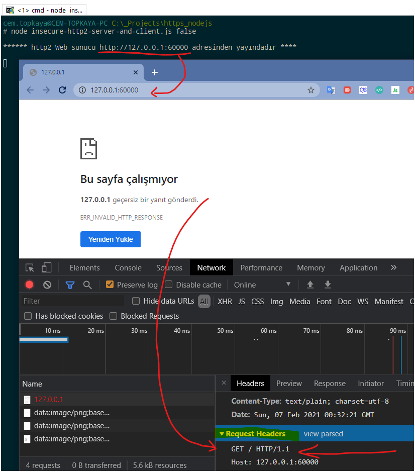 GitHub - cemtopkaya/http_https_web_server_in_nodejs