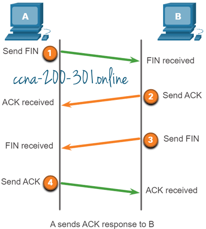 GitHub - cemtopkaya/http_https_web_server_in_nodejs