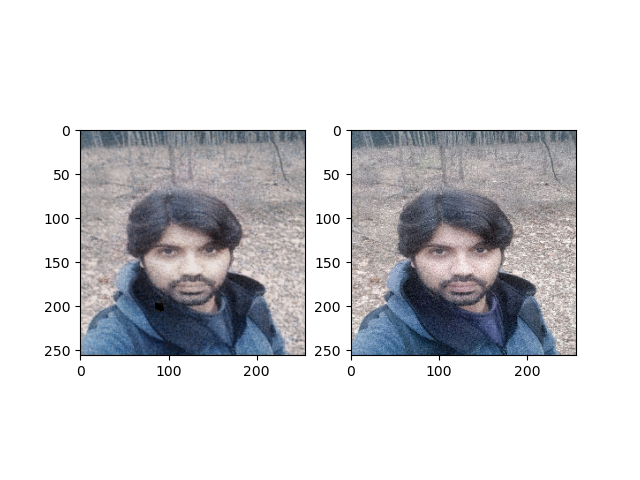 GitHub - sander-ali/Deep_Image_Prior_Pytorch: This repository provides ...