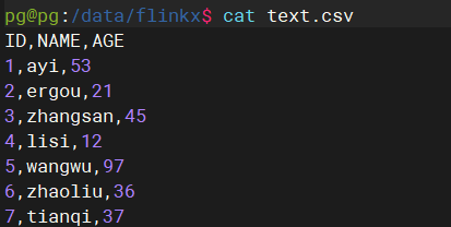 local模式测试sink使用 file-x ，source使用 stream-x报错，这是为什么呢 · Issue #683 · DTStack/chunjun · GitHub
