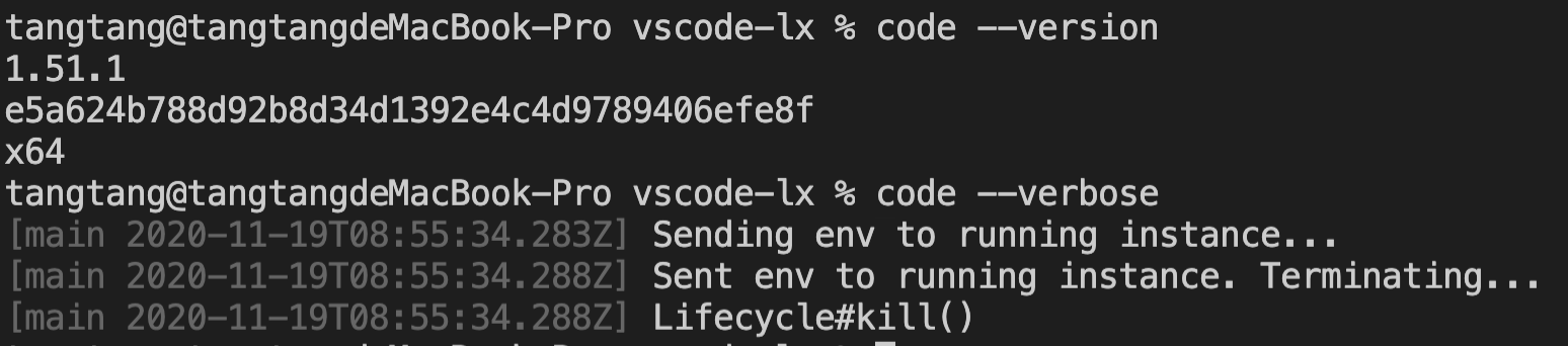 Extension host did not start in 10 seconds, it might be stopped on the ...