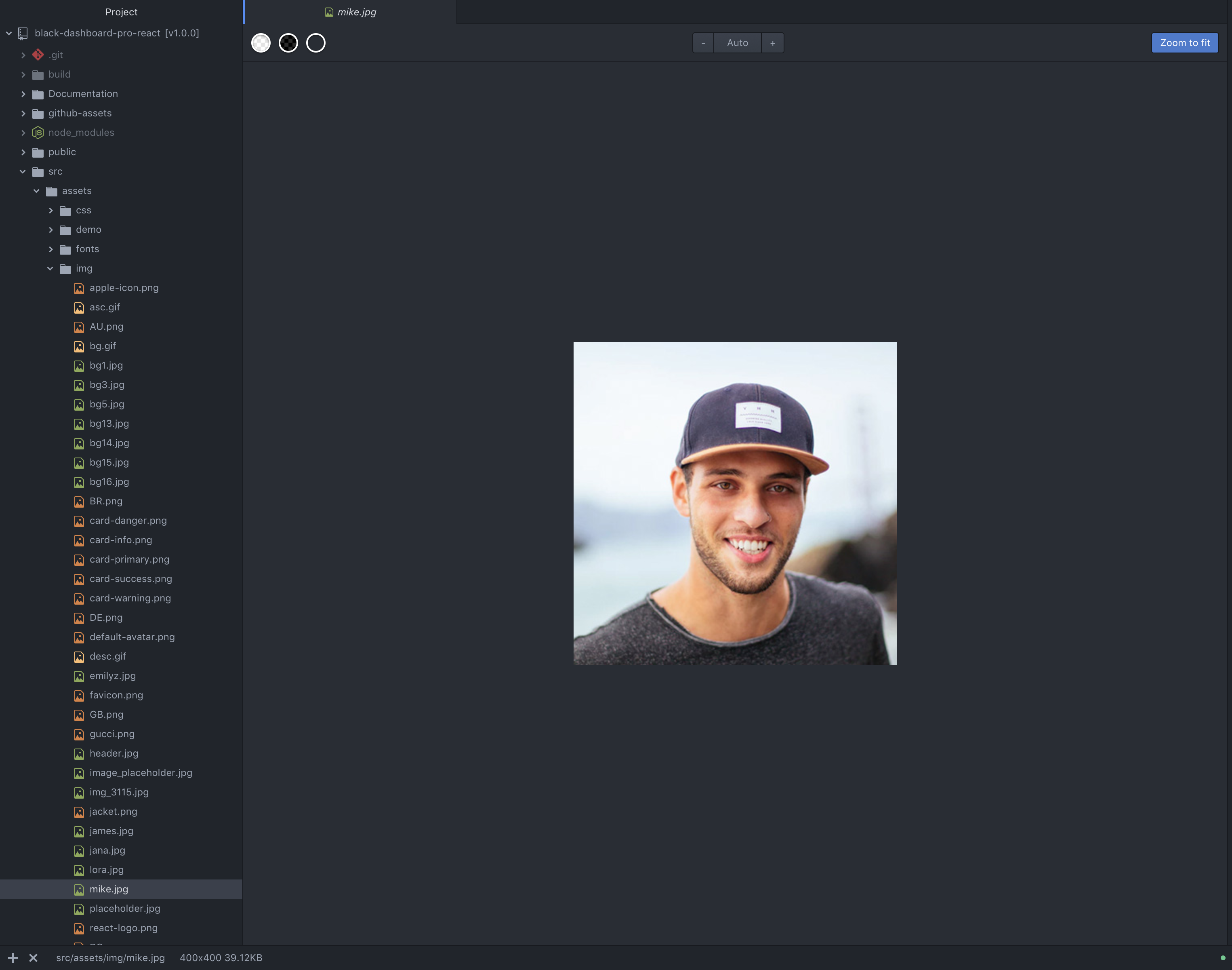 Will not compile · Issue #9 · creativetimofficial/ct-black-dashboard-pro-react · GitHub