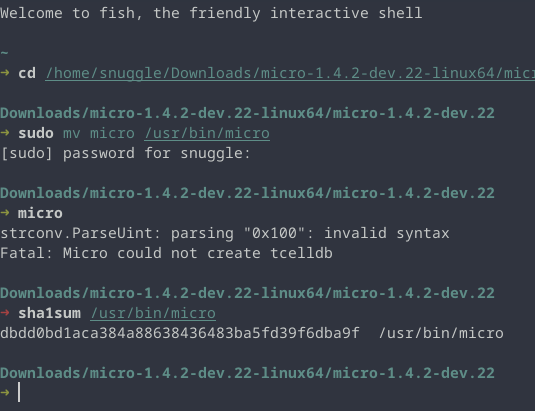 Micro completely broken in Kitty terminal · Issue #1167 · zyedidia/micro · GitHub