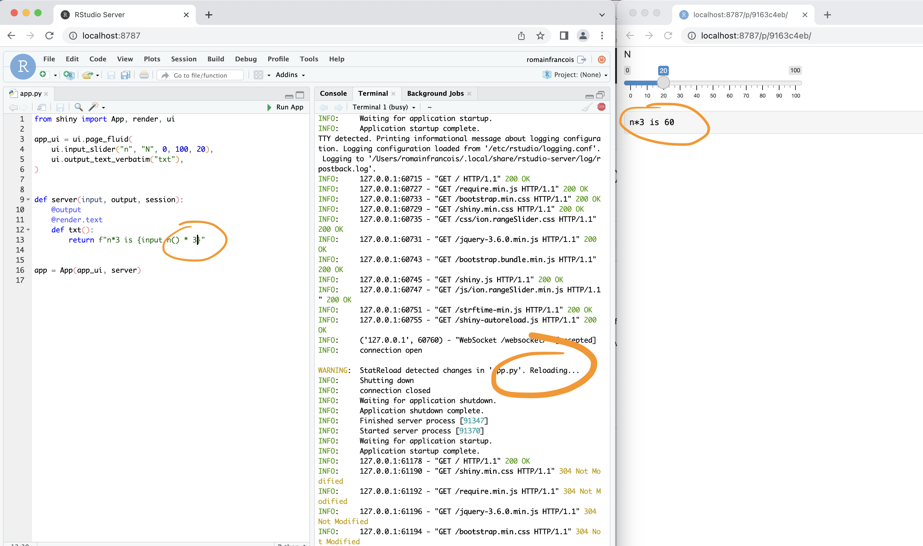 Support running of PyShiny applications · Issue #12054 · rstudio/rstudio · GitHub