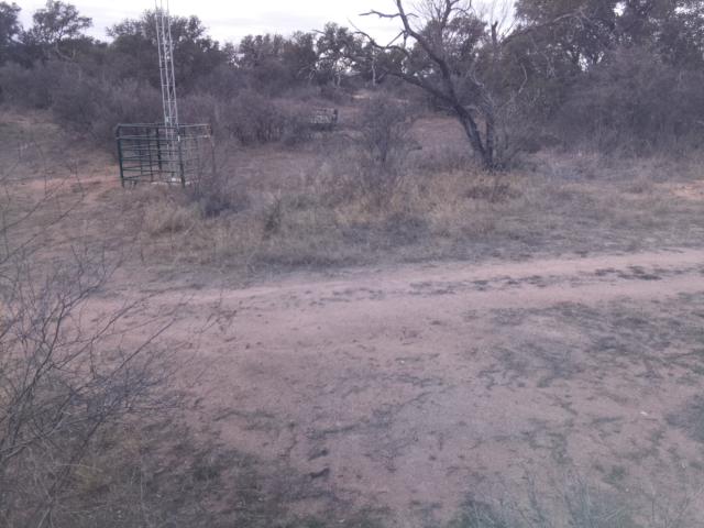 Exposures with libcamera-still are very different from raspistill ...