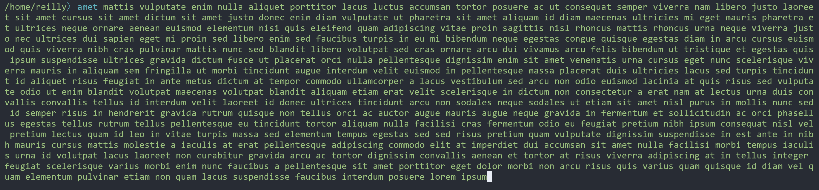 Pasting long command prints it in 1204 character increments · Issue #8024 · nushell/nushell · GitHub