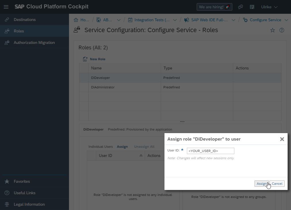 Maintain Platform Subaccounts And Sap Web Ide Permissions · Issue 2932