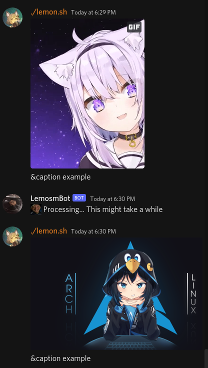 "Admiral | Service image died :(" when doing &caption · Issue #159 ...