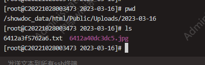 您好，目前我使用v3.1.0 ，无法下载上传的文本附件 · Issue #1894 · star7th/showdoc · GitHub