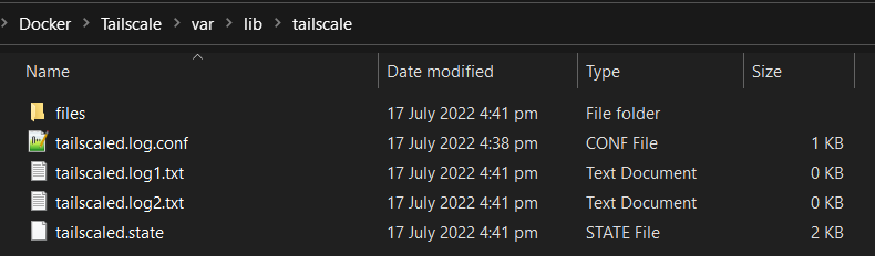 FR: Run non-Ephemeral docker container · Issue #4913 · tailscale/tailscale · GitHub