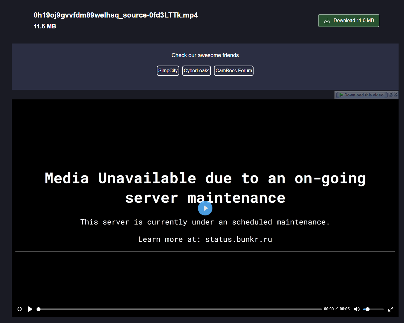 [BUG] Downloads "media unavailable due to an on-going server maintenance" video file from bunkr ...