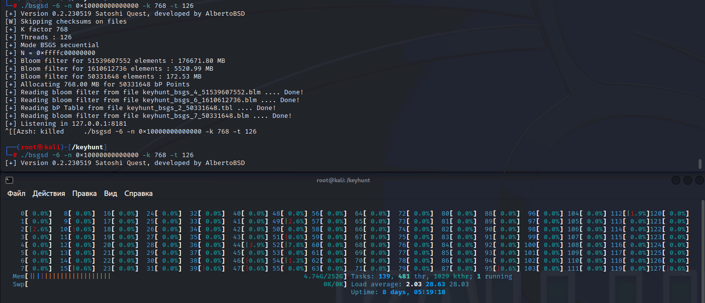 BSGS Server (Only linux) · Issue #226 · albertobsd/keyhunt · GitHub
