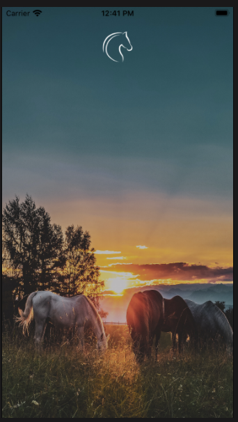 VERBOSE-2:transform_layer.cc(22)] TransformLayer is constructed with an ...