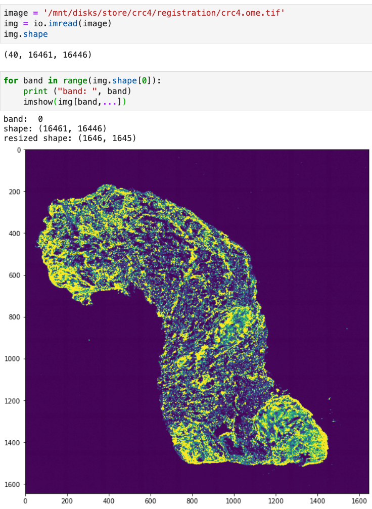 Error: images must be same size for register_translation · Issue #288 · labsyspharm/mcmicro · GitHub