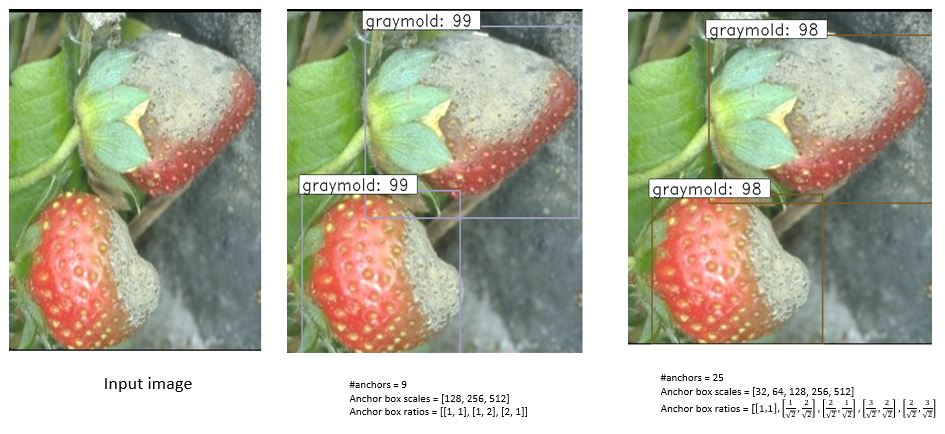 GitHub - pratikshaya/Strawberry-disease-detection-using-Faster-RCNN-