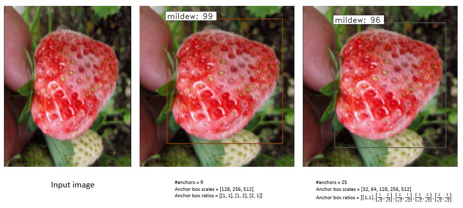 GitHub - pratikshaya/Strawberry-disease-detection-using-Faster-RCNN-