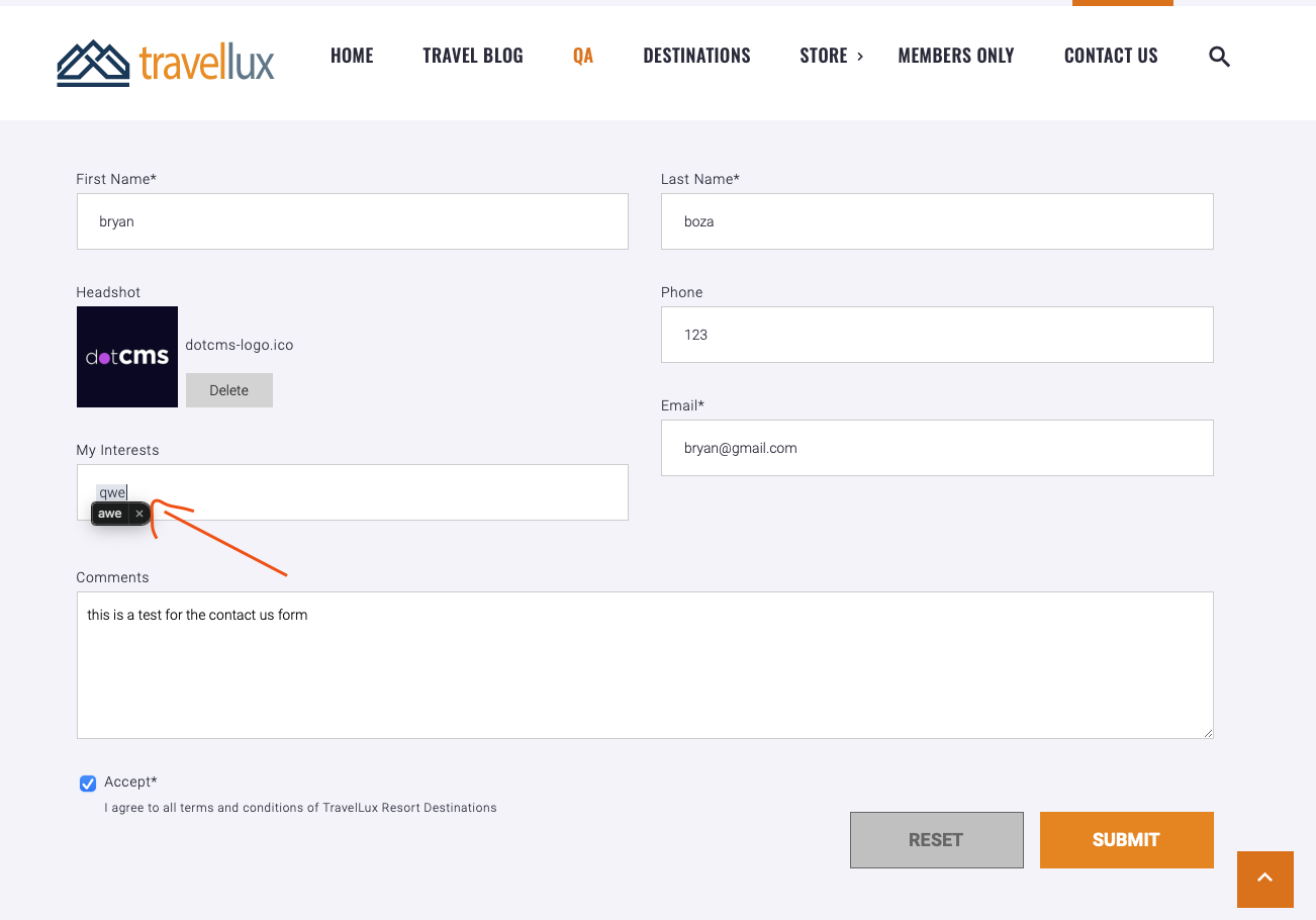 Form submission not sending files · Issue #18312 · dotCMS/core · GitHub