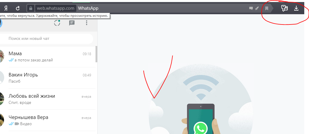 web.whatsapp not working · Issue #1480 · AdguardTeam/AdguardBrowserExtension · GitHub