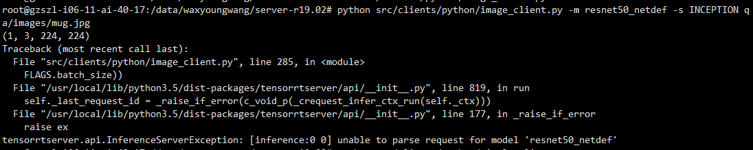 client request error · Issue #1939 · triton-inference-server/server · GitHub