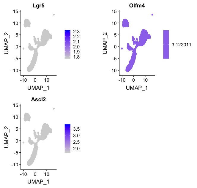 featureplot problem · Issue #1523 · satijalab/seurat · GitHub